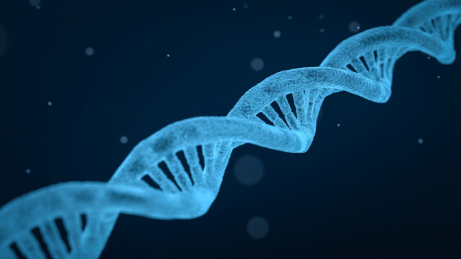 DNA: What Makes You Unique!